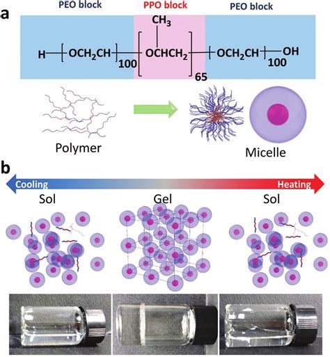 Amphiphilic Block Copolymer Pf127 And Sol Gel Sol Transitions A