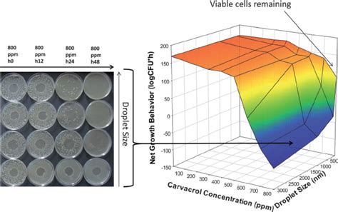 Left Photographic Image Of Plates Inoculated With L Innocua And