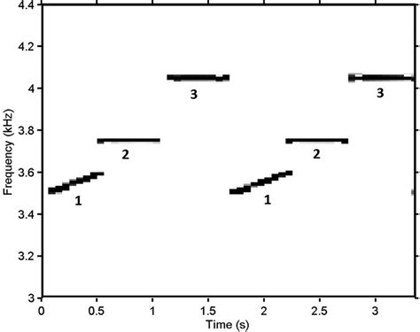 Sonogram Of Two 1600 Ms Signals From The 53c Sonar Sound Sequence Download Scientific Diagram