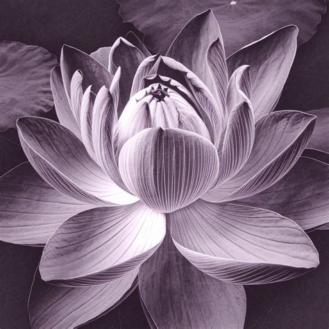 Mastering Javascripts Asyncawait