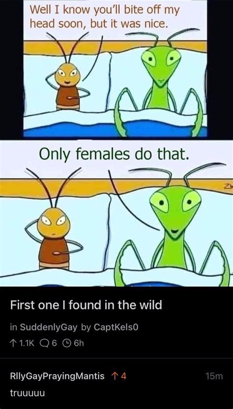 Mantis Checks Out R Usernamechecksout