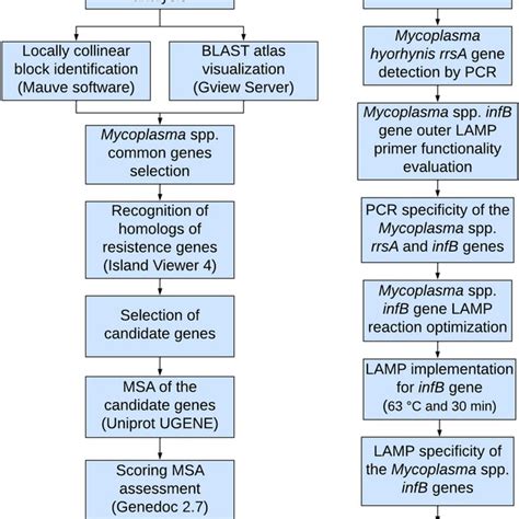 Workflow Diagram Of The Methodology Used In This Study Download