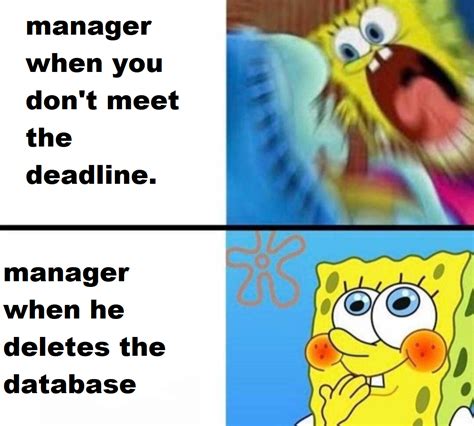 manager bad r programmerhumor