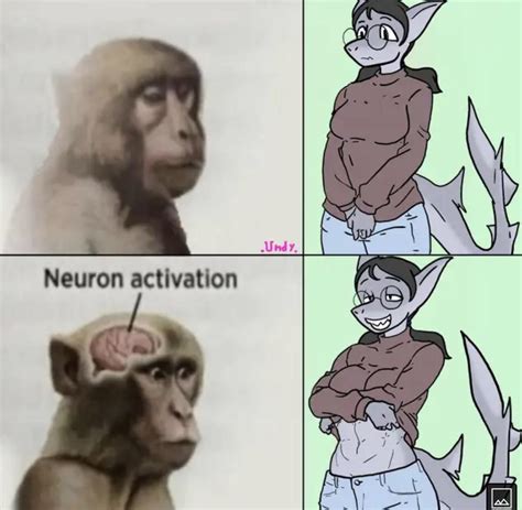 Monkey Think Rjimmyhere
