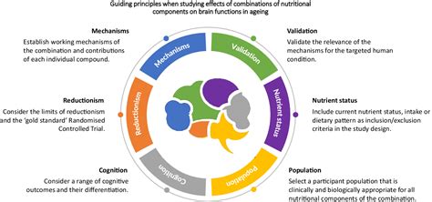 Multi Nutrient Interventions And Cognitive Ageing Are We Barking Up The Right Tree Nutrition