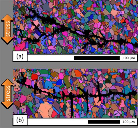 32 Cross section EBSD maps of SCC test of σ 250 MPa after 21 days Download Scientific