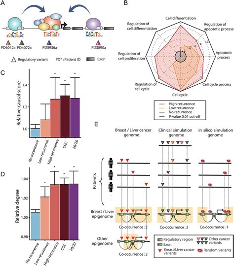 Combinatorial Cis Regulatory Recurrence A Illustration Of Our