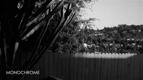 The Best Fuji Film Simulations For Filmmakers Provia Astia Classic