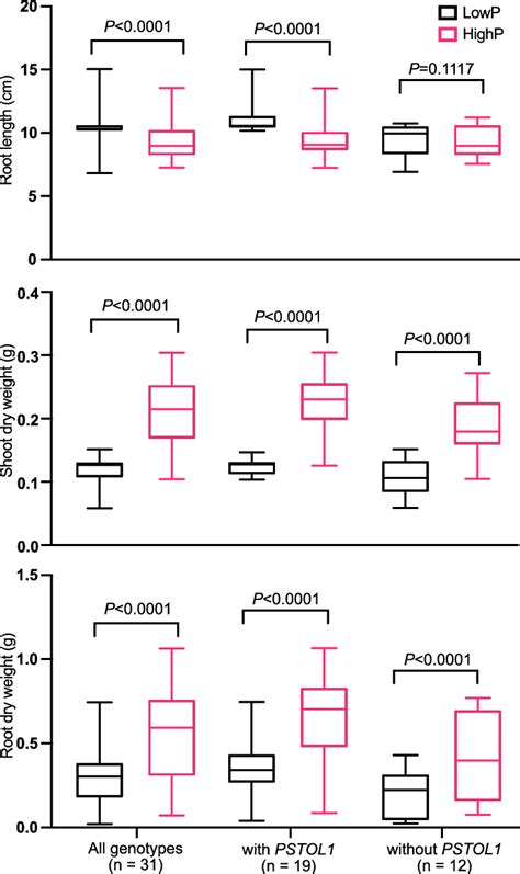 Performance Of Rice Genotypes Under Two Phosphorus Conditions For Three
