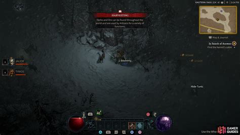 Biteberry Diablo Iv Database Gamer Guides®