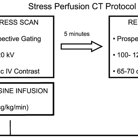 Radiation Exposure Of CT Perfusion Versus SPECT MPI Estimated Download Scientific Diagram