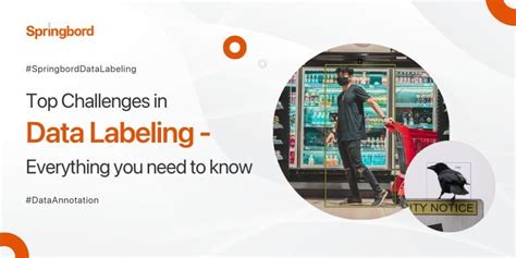 Data Labeling Vs Data Annotation Whats The Difference