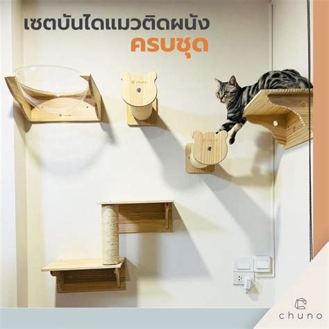 Chuno บันไดแมวติดผนัง จัดเซตราคาสุดคุ้ม มีให้เลือกหลายชุด Th
