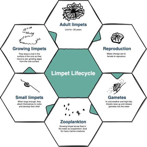 Blog Draw Freehand Infographics In Draw Io