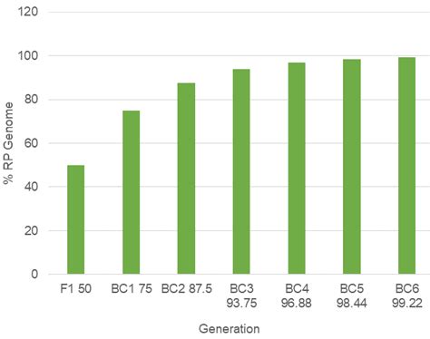 Chapter 5 Value Added Trait Integration Cultivar Development