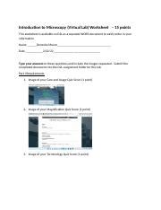 Introduction To Microscopy Virtual Lab Worksheet Requirements Course Hero