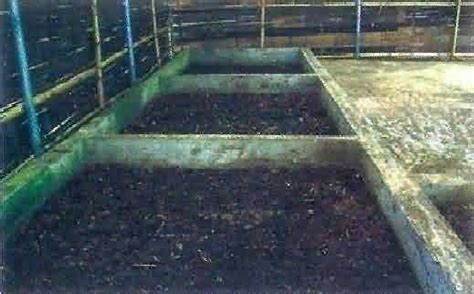 Vermicomposting Pit Help Vermicompost Pit For 25 Underprivileged Women
