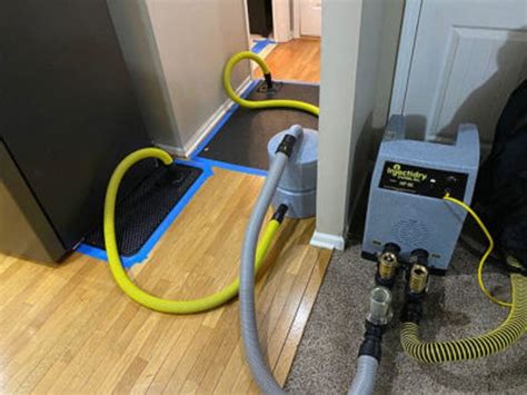 Understanding The Water Mitigation Process