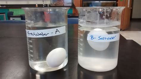 Density Station Lab MR BROUWER S SCIENCE CLASSROOM