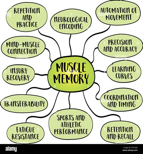 Muscle Memory The Ability To Perform A Specific Motor Task