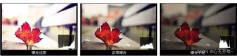 从零开始学opencv——图像灰度变换详解（线性与非线性变换）全局线性灰度变换 Csdn博客
