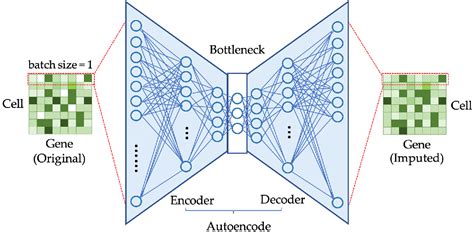 Figure 1 From Deep Learning Methods For Omics Data Imputation Semantic Scholar