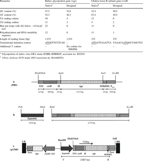 Parameters Followed For Designing Genes For High Level Expression Of