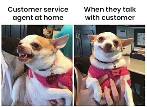 Top 14 Best Funny Customer Service Memes Clepher