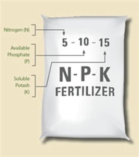 Peeling Back The NPK Mystery: N-P-K Explained - Bonsai Outlet