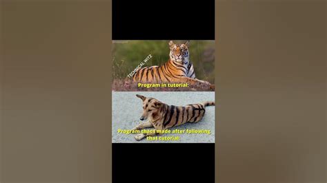 🤣 Programming Meme Codememes Memes Coderworlds Mrbeast Ezsnippet