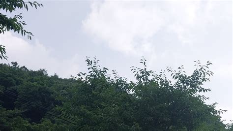 Hlb그룹 셀트리온추세6월24일 드라이브실방저출산전력설비로봇 Youtube