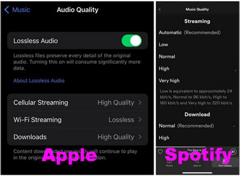 Spotify vs. Apple Music: Which is Better for You? | AudiFab