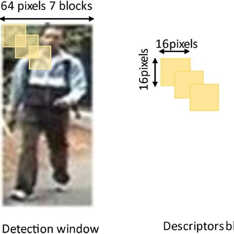 Pedestrian Model For Detection Application Based On Covariance Descriptor Download Scientific