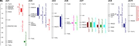 Qtls Mapped For Various Traits In Different Chromosomes Using Pb 1121