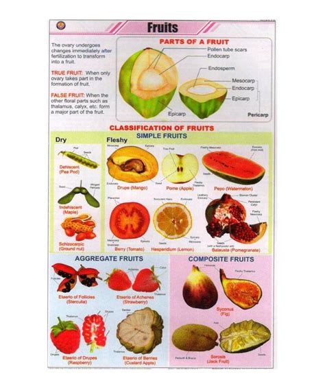 The Classification And Parts Of Fruit Fruit Groworganic Fruit Fruits And Veggies Vegetables