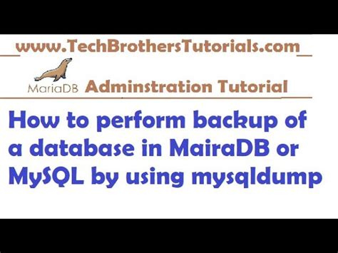 Простая установка Mysqldump ваше основное пошаговое руководство