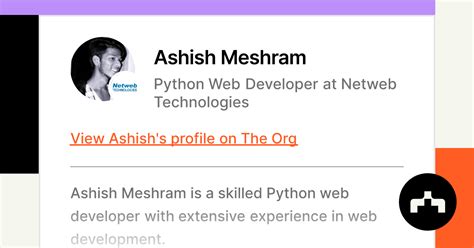 Ashish Meshram Python Web Developer At Netweb Technologies The Org