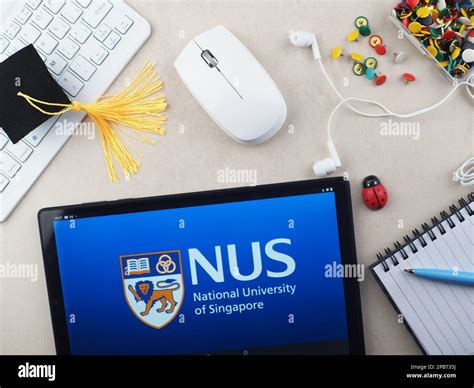 Nus Did Logo