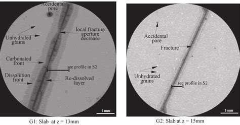 7 Numerical Cross Section In The Xrmt Image For Sample G1 Left At