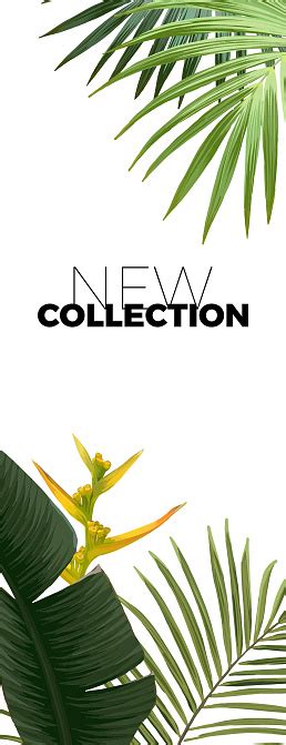 이국적인 야자수 잎과 식물으로 열 대 패션 디자인 여름 새로운 컬렉션 브로셔 또는 배너 정글 벡터 꽃 템플릿 벡터 일러스트 레이 션 0명에 대한 스톡 벡터 아트 및 기타