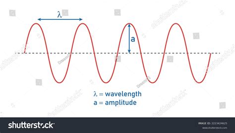 Longitudinal Wave Labeled