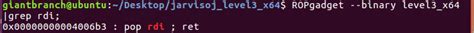 [buuctf]pwn——jarvisoj level3 x64 ctf level3 pwn csdn博客