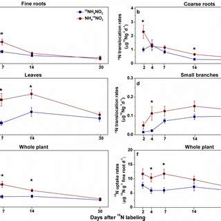 PDF Quantifying Nitrogen Uptake And Translocation For Mature Trees An In Situ Whole Tree
