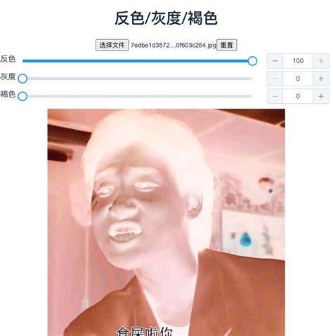 vue js 图片的反色 灰度 黑白 褐色并保存 vue 刘宏缔的架构森林 博客园