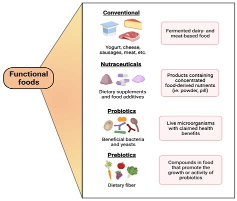Functional Foods Nutraceuticals And Probiotics A Focus On Human Health