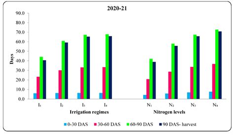 Effect Of Irrigation Regimes And Nitrogen Levels On Phenology Of