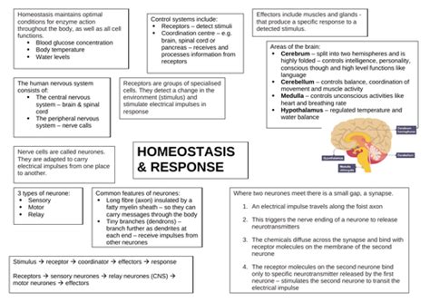 Biology Paper 2 Triple Revision Teaching Resources