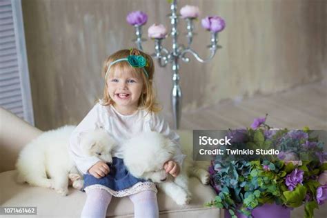 금발 아가씨의 허스키 강아지와 함께 재생 합니다 금발 머리 귀여운 드레스를 입고 로얄 복고풍 안락의 자 소파 소파에 앉아있는 동안 새 미 하얀 강아지와 함께 스튜디오