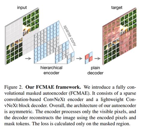 Convnext V2来了，仅用最简单的卷积架构，性能不输transformer 知乎