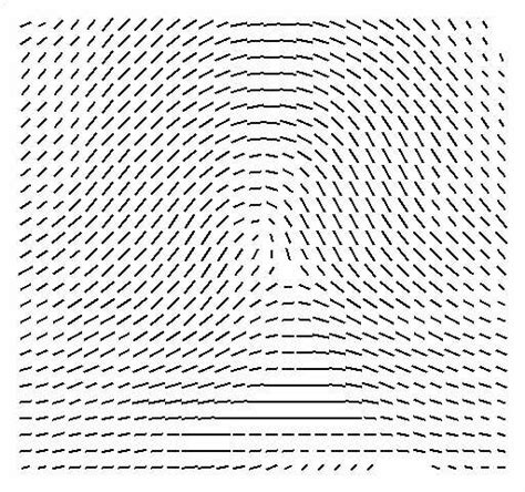 A Example Of Fingerprint Image And B Corresponding Orientation Download Scientific Diagram